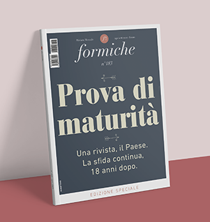 Silvia Grassi, Autore presso Formiche.net